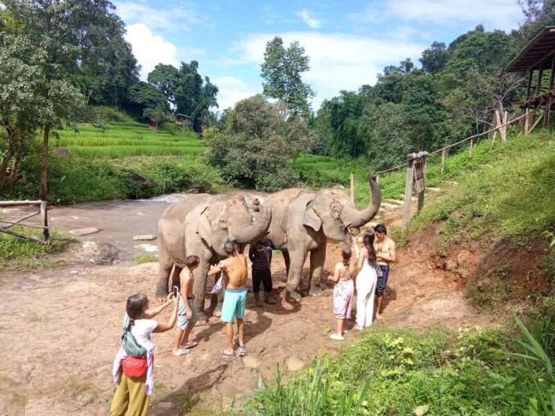 Chiangmai: Karen Weaving and Rafting Tour - A Full Day of Authentic Culture and Natural Beauty
