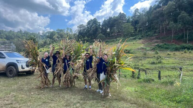 Chiangmai Overnight Trip with Ethical Elephant Santuary - The Sum Up: Why This Tour Stands Out