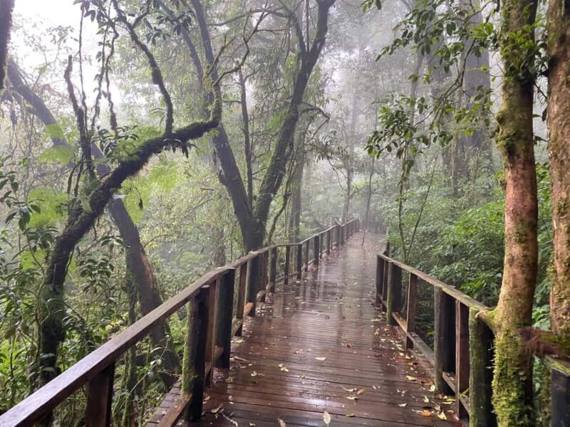 Chiangmai Overnight with Doi Inthanon National Park tour - Final Thoughts