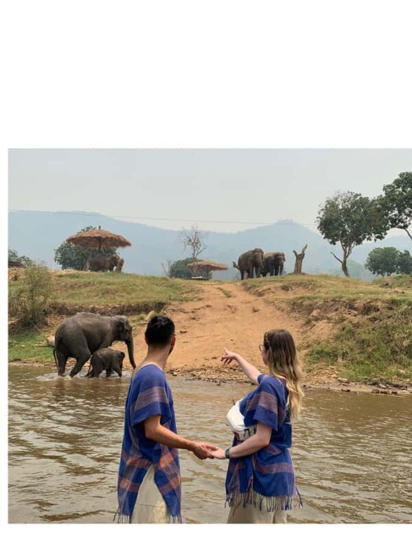 Chiangmai : Take care elephants+poopaper, sticky waterfalls - Key Points