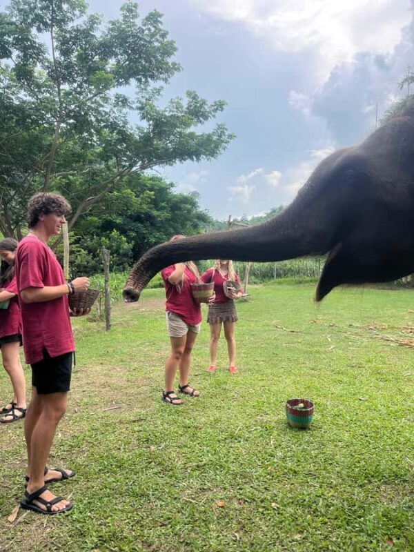 Chiangmai : Take care elephants+poopaper, sticky waterfalls - An In-Depth Look at the Tour Experience