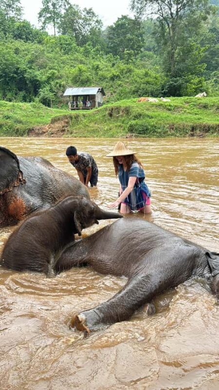 Chiangmai : Take care elephants+poopaper, sticky waterfalls - Authentic Insights from Participants
