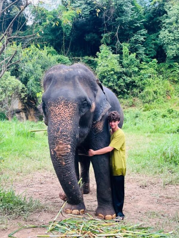 Chiangmai : Take care elephants+poopaper, sticky waterfalls - FAQs