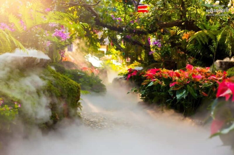 Chiangmai to Chiangrai: Temples, Hot Springs & Lalitta Cafe - Who is This Tour Best For?