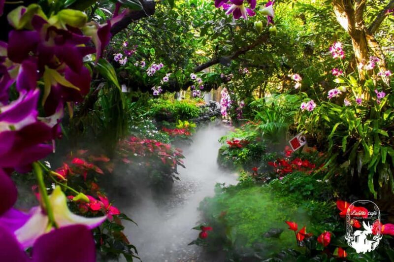 Chiangmai to Chiangrai: Temples, Hot Springs & Lalitta Cafe - Final Thoughts