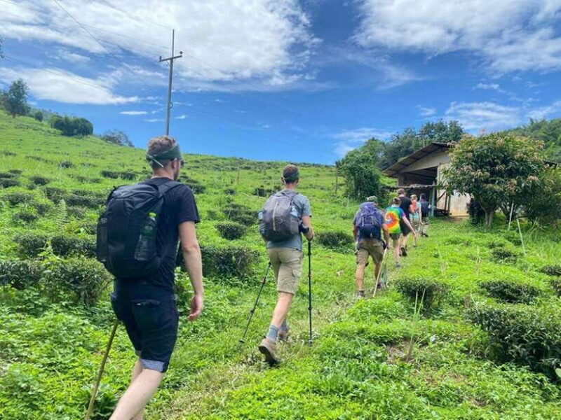 Chiangrai: Group Trekking with Bamboo Cooking - Starting Off: Hotel Pickup and Orientation