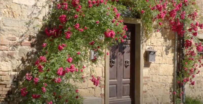 Chianti and Castles Tour From San Gimignano - Frequently Asked Questions