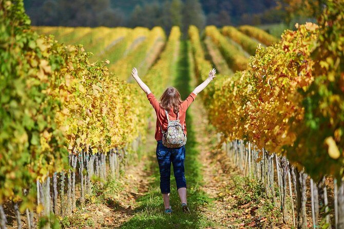 Chianti and Supertuscan Private tour with lunch from Livorno - Analyzing the Value
