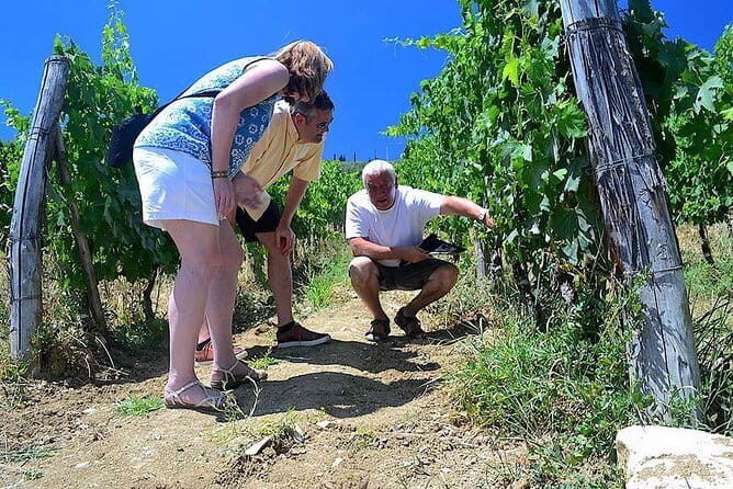 Chianti Classico and Super Tuscan 3 Winery Tour - Exploring the Chianti Classico and Super Tuscan 3 Winery Tour