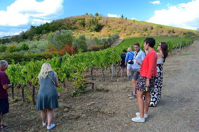 Chianti Classico and Super Tuscan 3 Winery Tour - Key Points