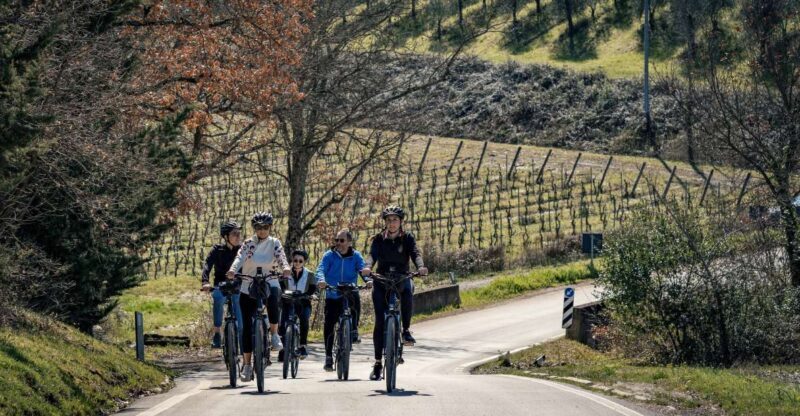 Chianti Classico: e-bike tour with lunch and tastings - Real Traveler Feedback & Authentic Insights