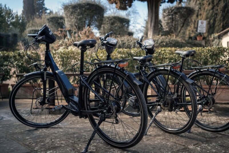 Chianti Classico: e-bike tour with lunch and tastings - In Summary