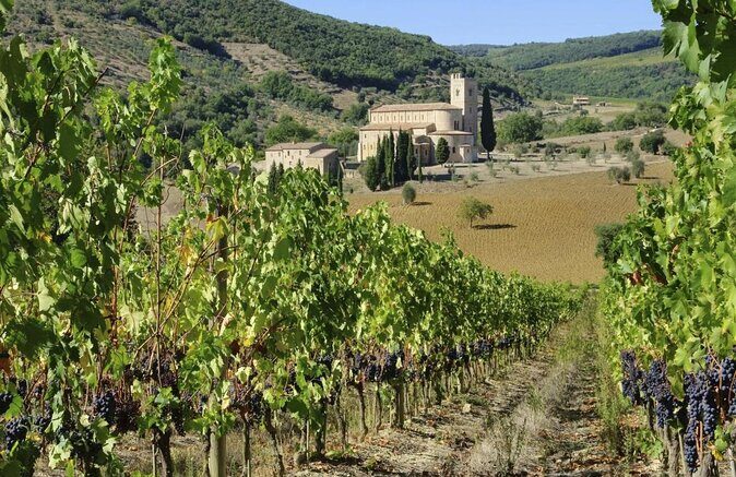 Chianti Classico, Montalcino, Montepulciano by minivan: Wine Tastings & Lunch - Key Points