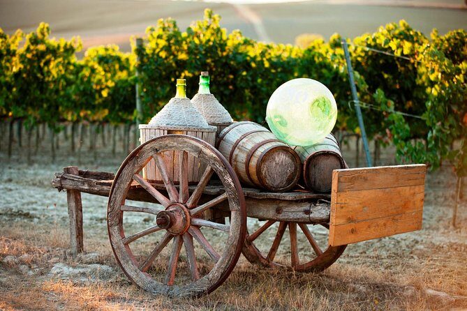 Chianti Classico, Montalcino, Montepulciano by minivan: Wine Tastings & Lunch - Final Thoughts