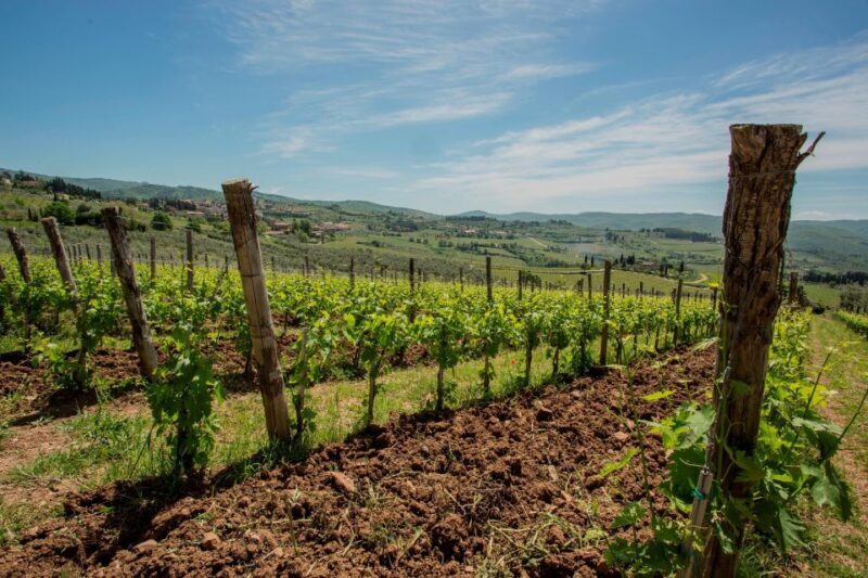 Chianti Classico Wines with seasonal farmers dishes - Key Points