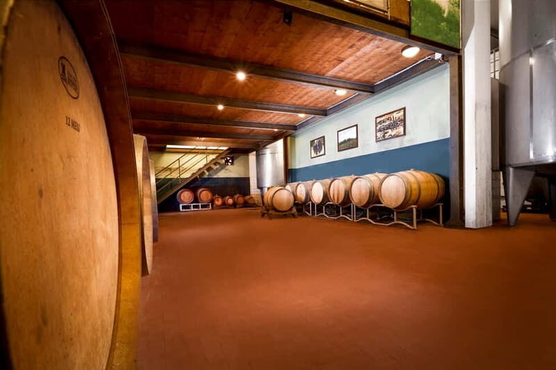 Chianti Colli Fiorentini Winery Tour 18km from Florence - Authentic Reviews and What They Highlight