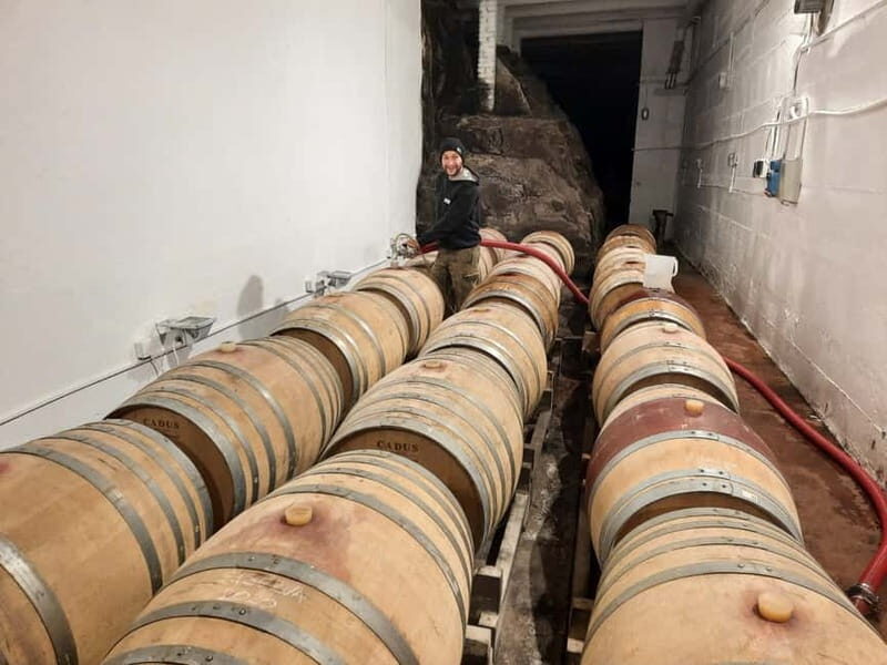 Chianti Colli Fiorentini Winery Tour 18km from Florence - The Sum Up: Who Should Consider This Tour?