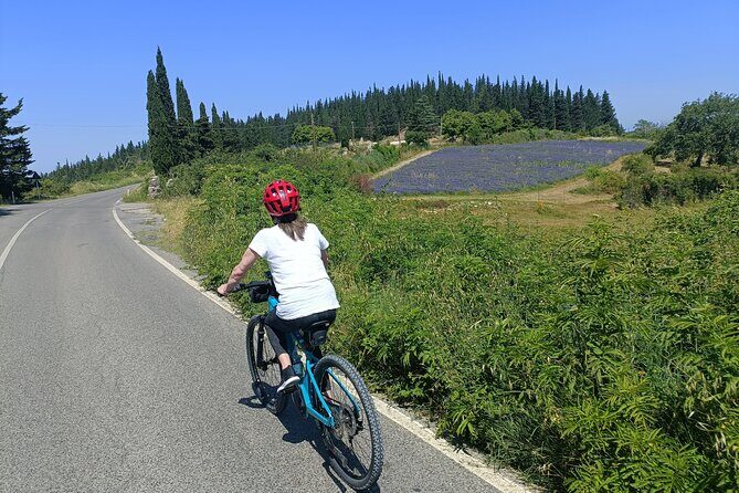 Chianti e-bike tour from Florence with wine tasting - Value for Money