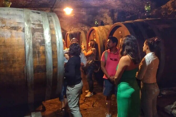 Chianti: eno-excursion through the vineyards - Beyond the Itinerary: What Travelers Really Love