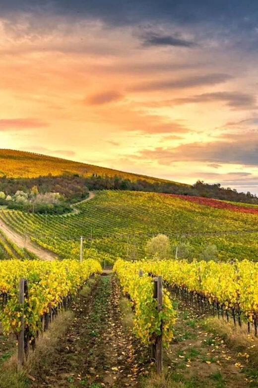 Chianti Helicopter Flight Tour - Practical Considerations and Tips