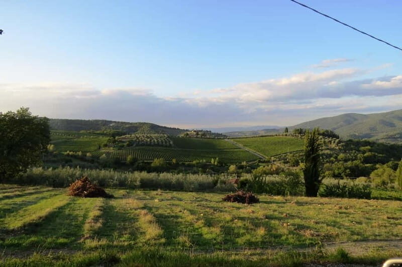 Chianti Hills: AppGuided eVespa Tour + Lunch in Greve - Price & Value: Breaking Down the Cost