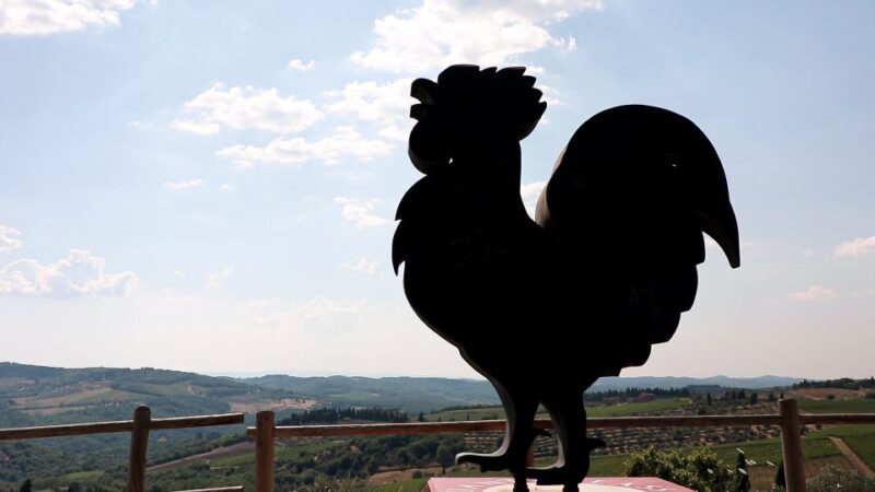 Chianti Hills: AppGuided eVespa Tour + Lunch in Greve - Authentic Feedback from Other Travelers