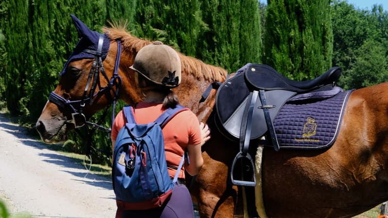 Chianti: Horseback Riding Through Vineyards and Woods - A Closer Look at the Experience