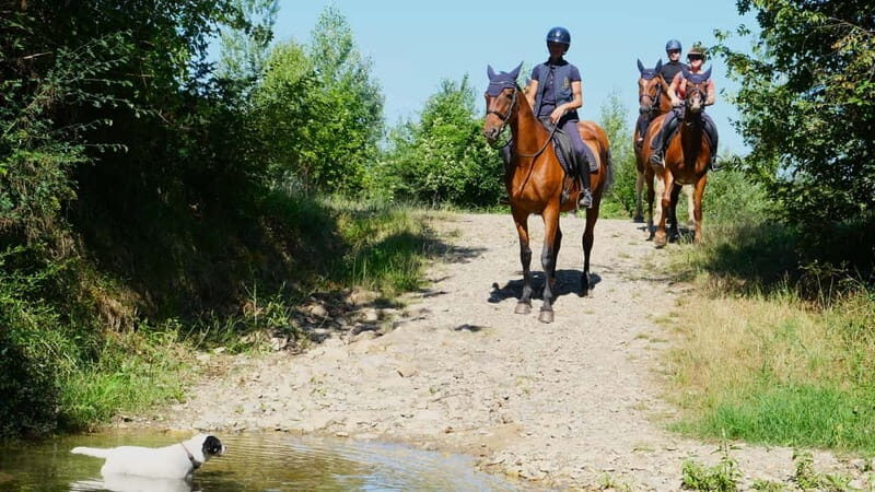 Chianti: Horseback Riding Through Vineyards and Woods - The Landscape and Atmosphere