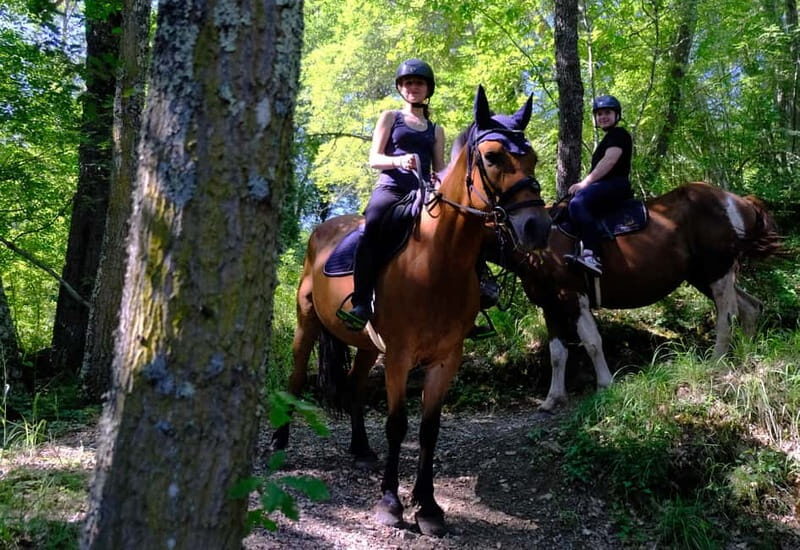Chianti: Horseback Riding Through Vineyards and Woods - Practical Tips for Travelers
