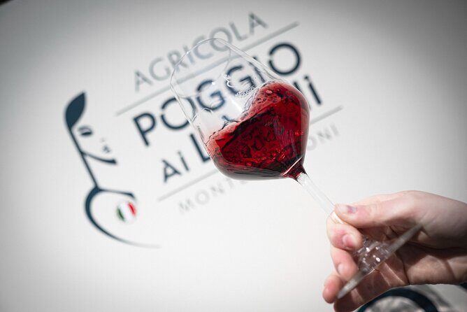 Chianti: Lunch with Wine Tasting at Poggio ai Laghi Winery - The Experience’s Drawbacks