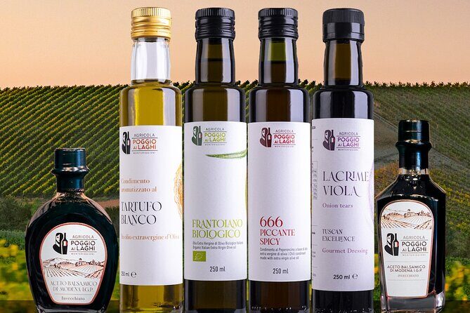 Chianti: Lunch with Wine Tasting at Poggio ai Laghi Winery - Who Will Love This Experience?