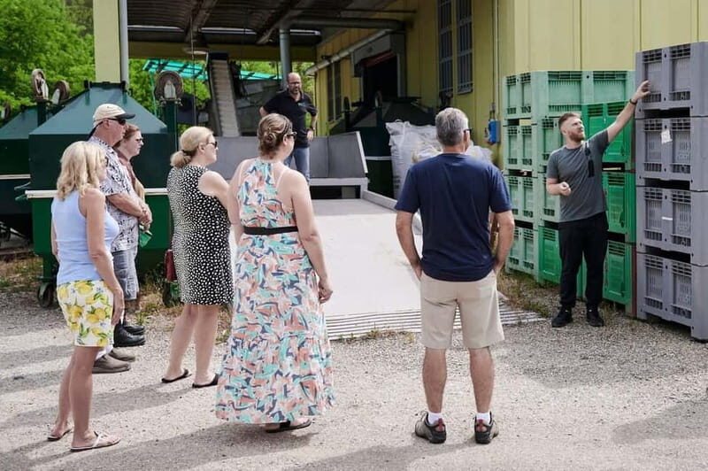 Chianti: Olive Mill Guided Tour with 3 Oil Tastings & Food - Navigating the Tour: What to Expect in Detail