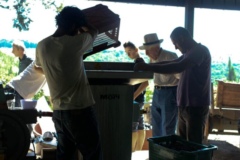Chianti Organic wine tasting - Exploring the Details of the Tour