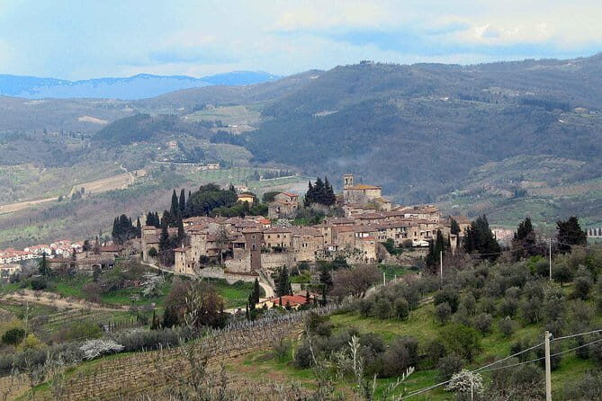 Chianti Region and San Gimignano including wine tasting and light lunch - Key Points