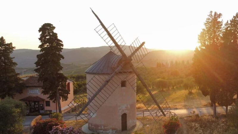 Chianti Rufina: Discover the tradition of extra virgin olive oil and organic wines - Who Would Love This Tour?
