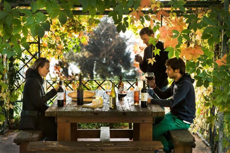 Chianti Rufina: Organic and biodynamic winery tour with tasting - Discovering Tuscany’s Charm: Chianti Rufina Organic & Biodynamic Winery Tour