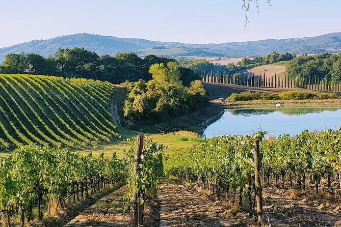 Chianti, San Gimignano and Siena Full Day Trip with Wine Tastings - Who Should Consider This Tour?