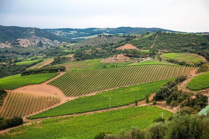 Chianti, San Gimignano and Siena Full Day Trip with Wine Tastings - Final Thoughts