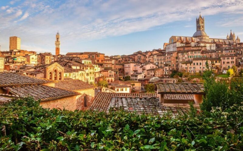 Chianti, Siena, S. Gimignano & Wine Tasting Private Tour - Who Should Consider This Tour?