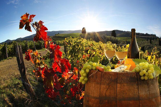 Chianti, SuperTuscan & San Gimignano - 2 wineries and light lunch - A Deep Dive into the Chianti, SuperTuscan & San Gimignano Wine Tour
