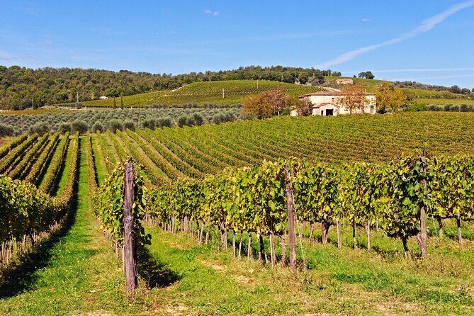 Chianti, SuperTuscan & San Gimignano - 2 wineries and light lunch - What Makes This Tour Stand Out?