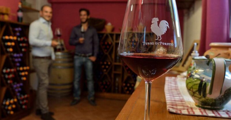 Chianti: Terre Di Perseto Winery Guided Tasting & Tour - An In-Depth Look at the Tour Experience