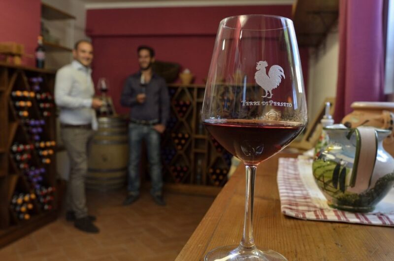 Chianti: Terre Di Perseto Winery Guided Tasting & Tour - Why This Tour Offers Great Value for Your Money