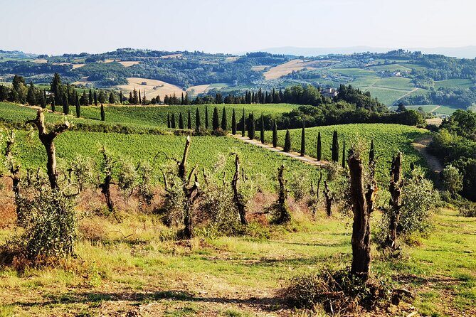 Chianti to San Gimignano E-bike Tour - Who Will Appreciate This Tour?