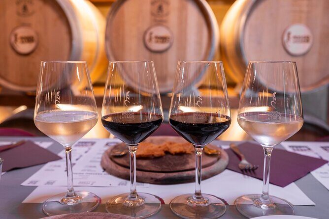 Chianti: Tuscan Vineyard Old Jeep Tour, Wine Tasting & Lunch - Who Will Enjoy This Tour?