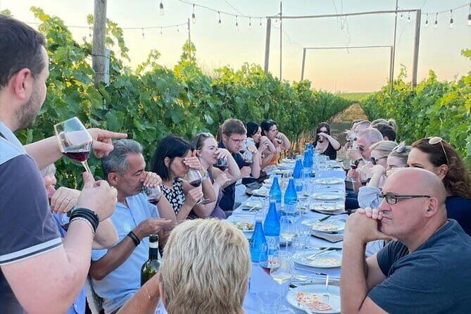 Chianti vineyards: Small-Group tour with wine tasting & Dinner - What Real Travelers Say: Highlights and Caveats