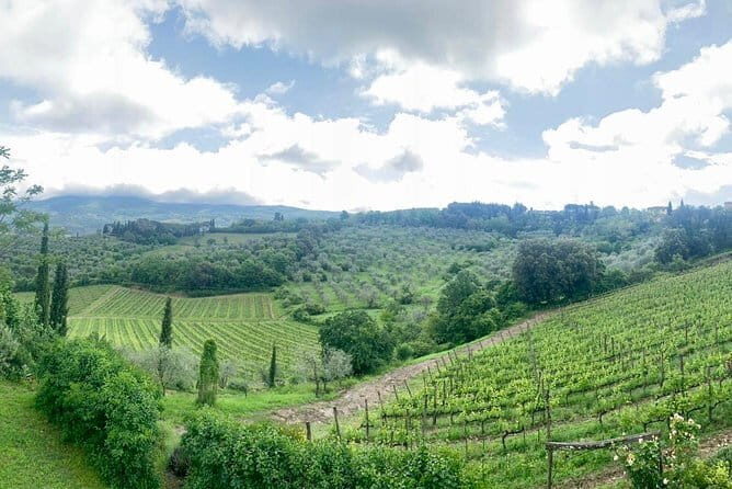 Chianti Vineyards Tours in Private Luxury Van from Florence - Frequently Asked Questions