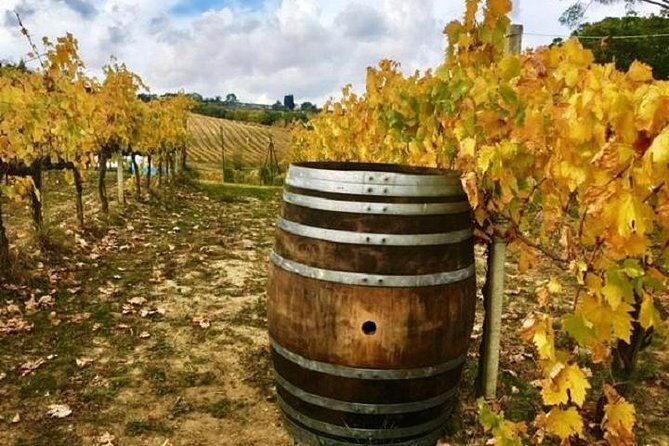Chianti Wine and Vinci half day Small Group Tour from Lucca - Key Points