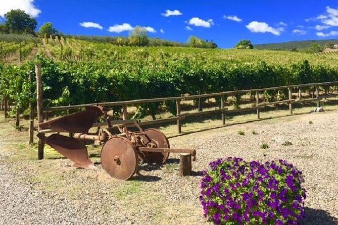 Chianti Wine and Vinci half day Small Group Tour from Lucca - Why This Tour Is Worth Considering