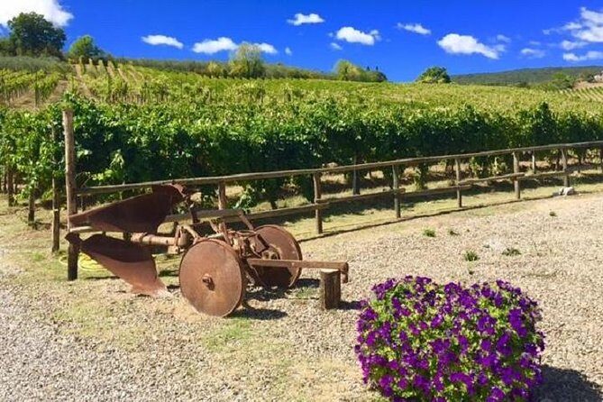 Chianti Wine and Vinci half day Small Group Tour from Montecatini Terme - A Sparkling Taste of Tuscany: Chianti Wine and Vinci Half-Day Tour from Montecatini Terme